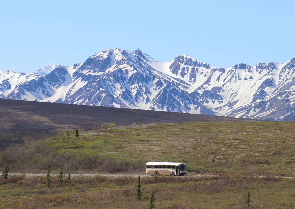 Riley Creek Campground - RV Campground in Denali National Park, AK